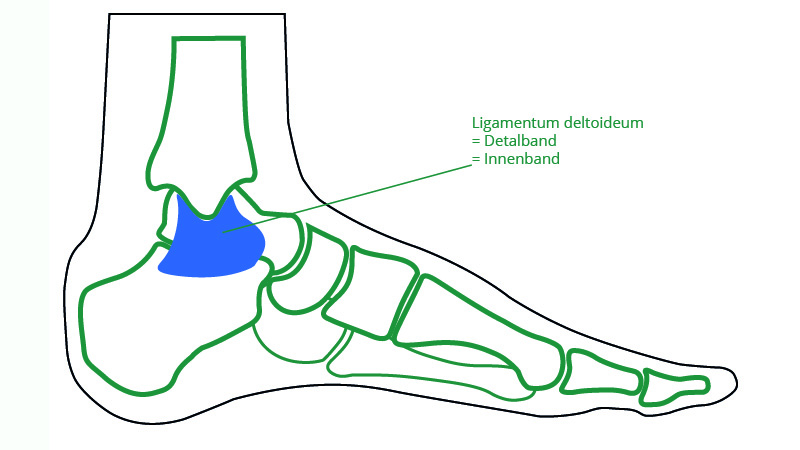 Sprunggelenkfraktur - OGAM Orthopädie